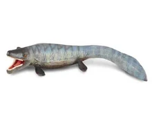 Tylosaurus (CollectA) | Dinosaur Figure Library Wikia | Fandom