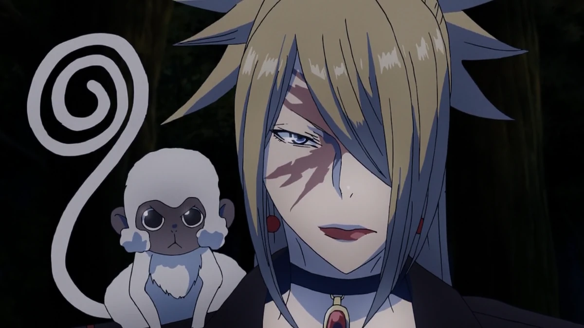 Cloud Nine | Wiki D.Gray-man | Fandom