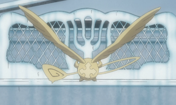 Timcanpy | D.Gray-man Encyclopedia | Fandom