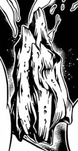 Timcanpy | D.Gray-man Encyclopedia | Fandom