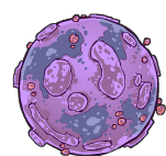 Meteor Moon | Dillo Hills 2 Wikia | Fandom