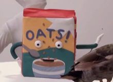 Oats | DHMIS Wiki | Fandom