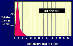 NovoRapid | Canine Diabetes Wiki | Fandom