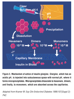 Combining insulin | Canine Diabetes Wiki | Fandom