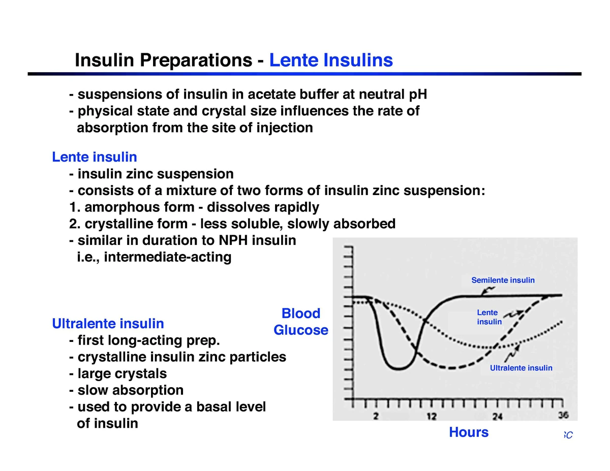 Category:Lente | Canine Diabetes Wiki | Fandom