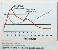 Vetsulin | Canine Diabetes Wiki | Fandom