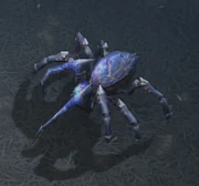 Spiderling | Diablo Wiki | Fandom