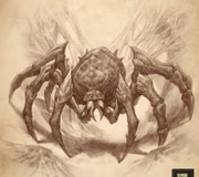 Spider | Diablo Wiki | Fandom