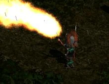 Inferno (monster skill) | Diablo Wiki | Fandom