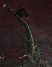 Dark Creeper | Diablo Wiki | Fandom