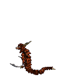Cave Viper | Diablo Wiki | Fandom