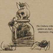 Spider | Diablo Wiki | Fandom