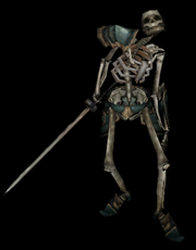 Skeleton | Diablo Wiki | Fandom