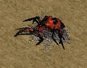 Burrow | Diablo Wiki | Fandom