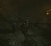 The Wanderer (Diablo IV) | Diablo Wiki | Fandom