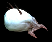 Maggot Brood | Diablo Wiki | Fandom