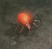 Volatile Spider | Diablo Wiki | Fandom