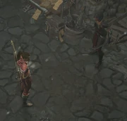 The Wanderer (Diablo IV) | Diablo Wiki | Fandom