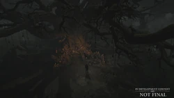 Tree of Whispers | Diablo Wiki | Fandom