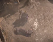 The Wanderer (Diablo IV) | Diablo Wiki | Fandom