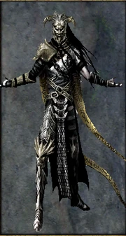 Warlock | Diablo Wiki | Fandom