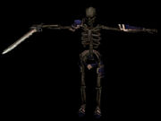 Skeleton | Diablo Wiki | Fandom