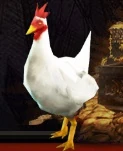 Cucco | Diablo Wiki | Fandom