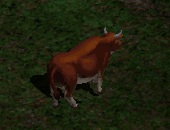 Cow | Diablo Wiki | Fandom