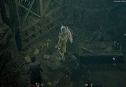 The Wanderer (Diablo IV) | Diablo Wiki | Fandom