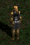 Gothic Plate (Diablo II) | Diablo Wiki | Fandom
