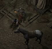 The Wanderer (Diablo IV) | Diablo Wiki | Fandom