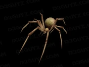 Spiderling | Diablo Wiki | Fandom
