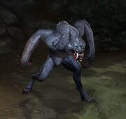 Night Howler | Diablo Wiki | Fandom