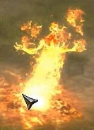Firebomb | Diablo Wiki | Fandom