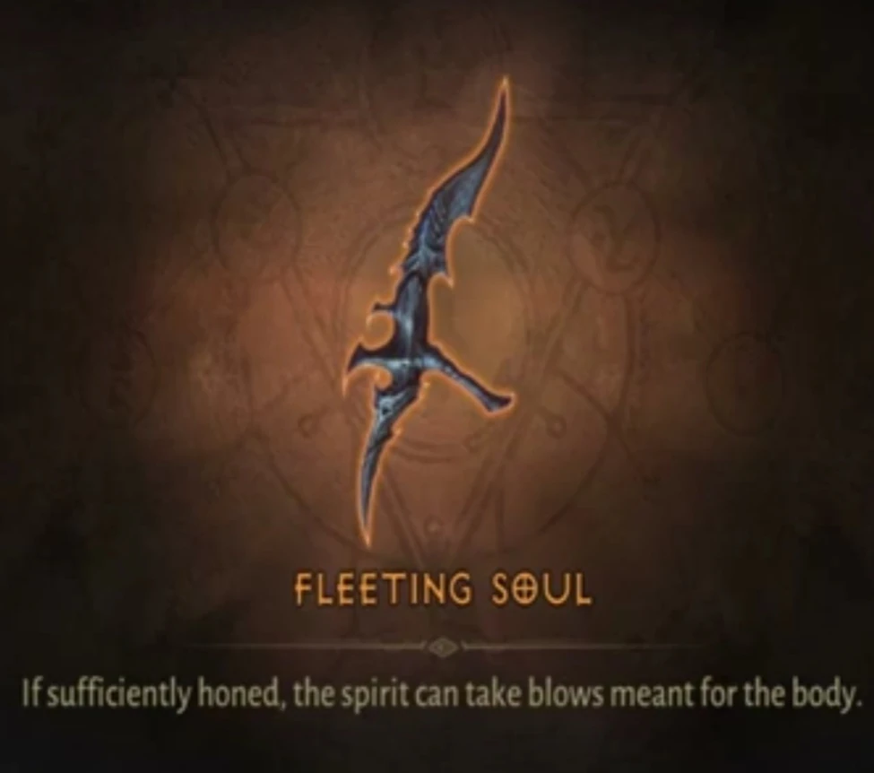 Fleeting Soul | Diablo Wiki | Fandom