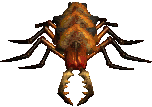Sand Maggot (Diablo II) - Diablo Wiki