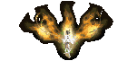 Wraith (Diablo II) - Diablo Wiki
