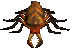 Sand Maggot Young (Diablo II) - Diablo Wiki