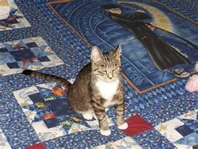 Animagus Classroom | Diagon-Alley Wiki | Fandom