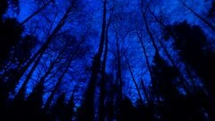 List of Levels | The Diagonal Rooms Wiki | Fandom