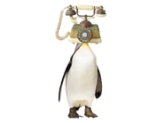 Jerry | Dialtown Wiki | Fandom