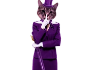 Mayor Mingus | Dialtown Wiki | Fandom