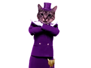 Mayor Mingus | Dialtown Wiki | Fandom