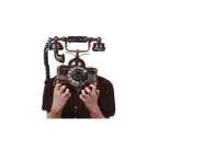 Jerry | Dialtown Wiki | Fandom