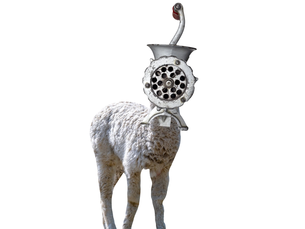 Object Heads | Dialtown Wiki | Fandom