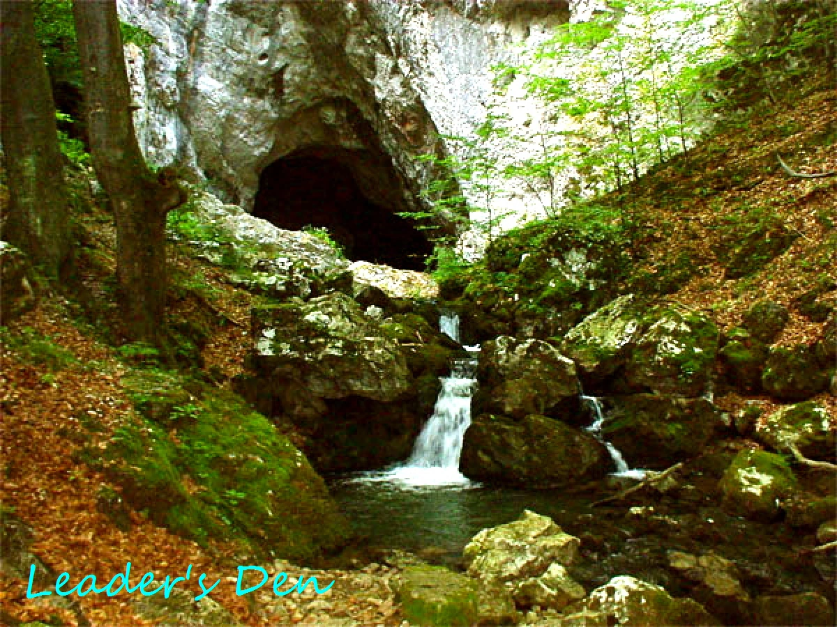 Leader's Den | DiamondClan Wiki | Fandom