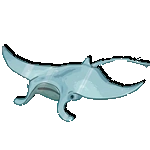 Manta Ray | Diamond Hunt Mobile Wiki | Fandom