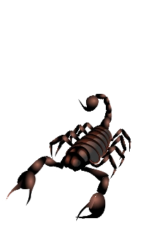 Scorpion | Diamond Hunt Mobile Wiki | Fandom