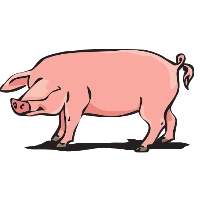 Pig | Diamond Hunt Online Wiki | Fandom