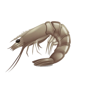 Fishing | Diamond Hunt Online Wiki | Fandom